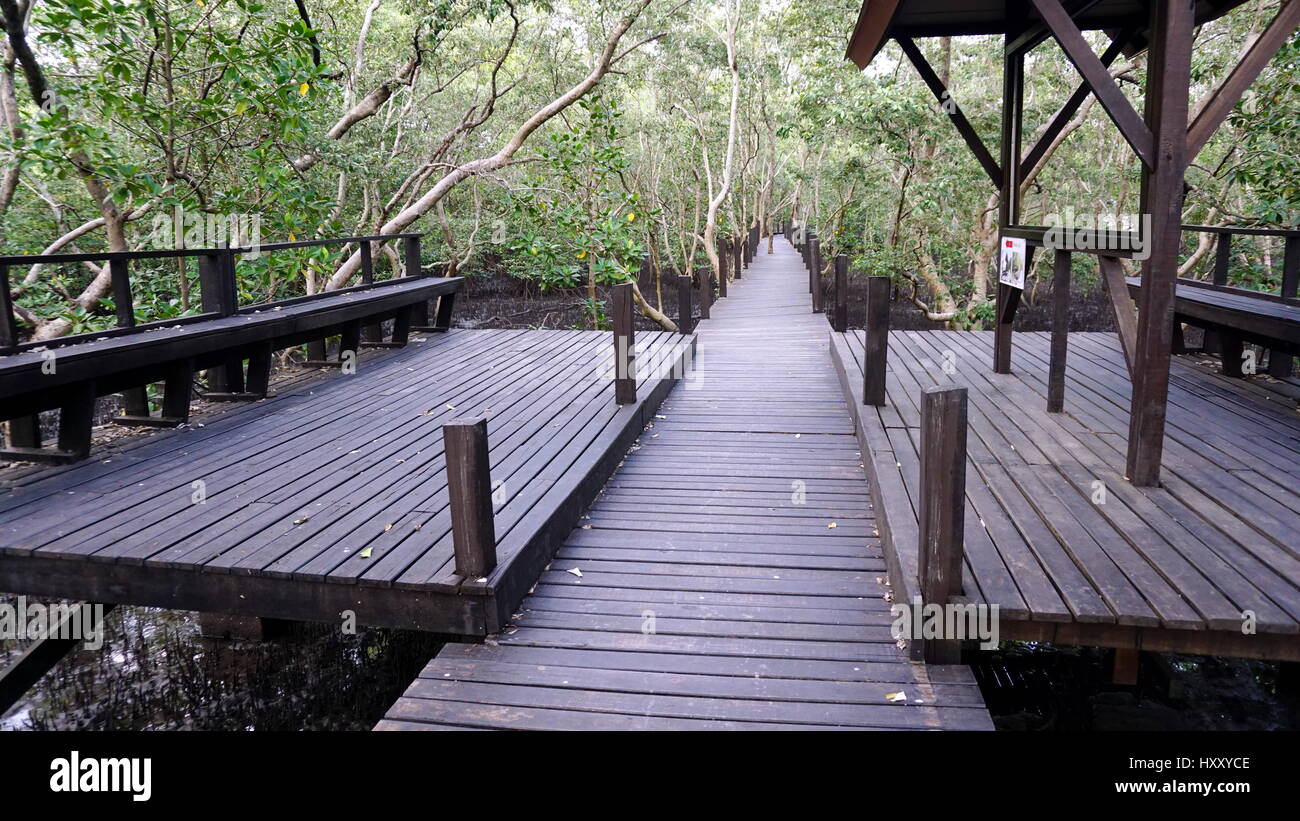 Adapted to coastal conditions hi-res stock photography and images - Alamy