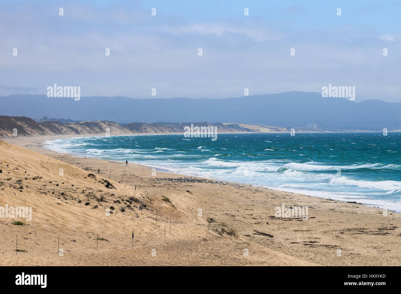 Monterey seaside hi-res stock photography and images - Alamy