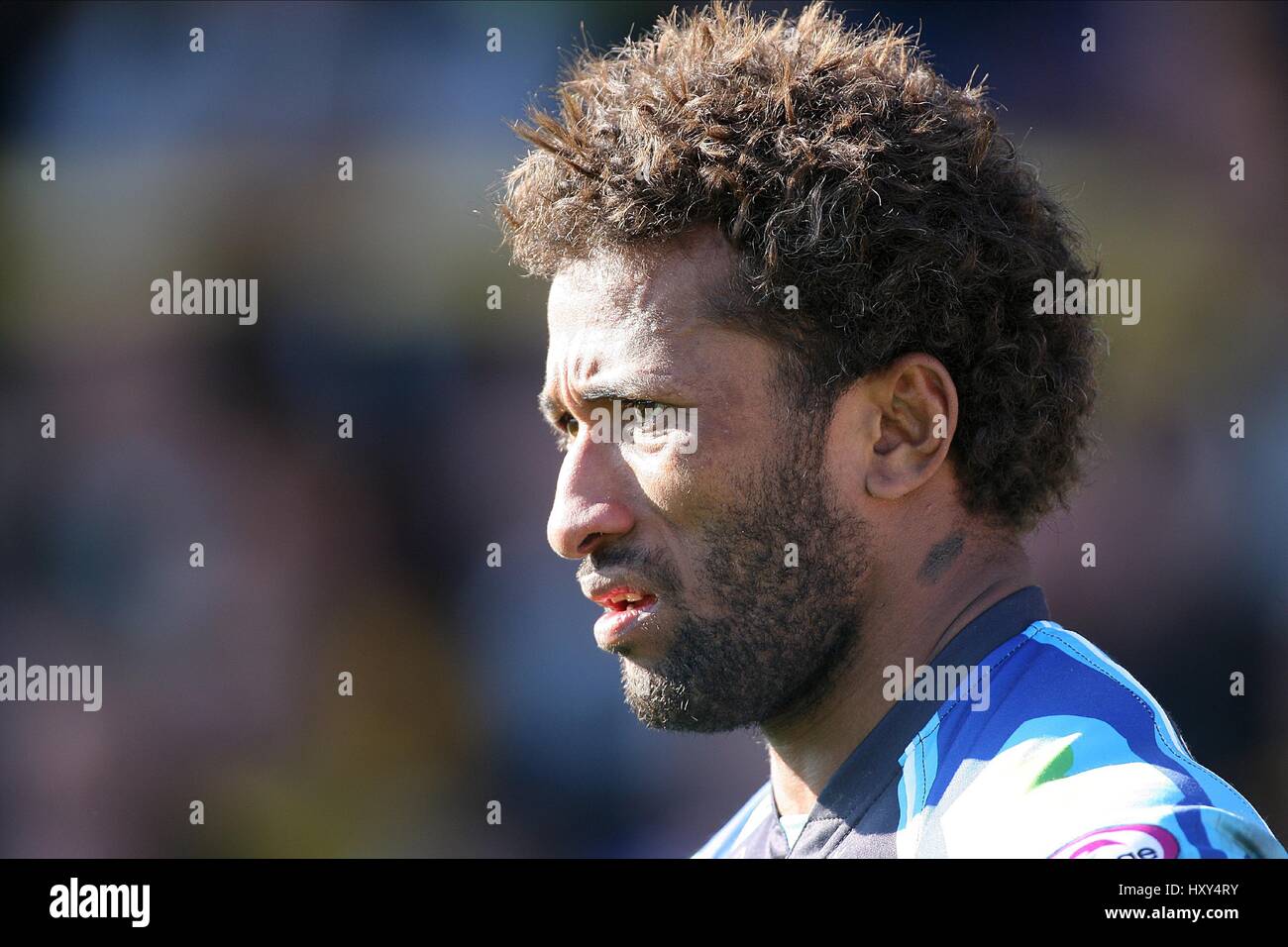 SEMI TADULALA BRADFORD BULLS RLFC THE JUNGLE CASTLEFORD ENGLAND 29 ...