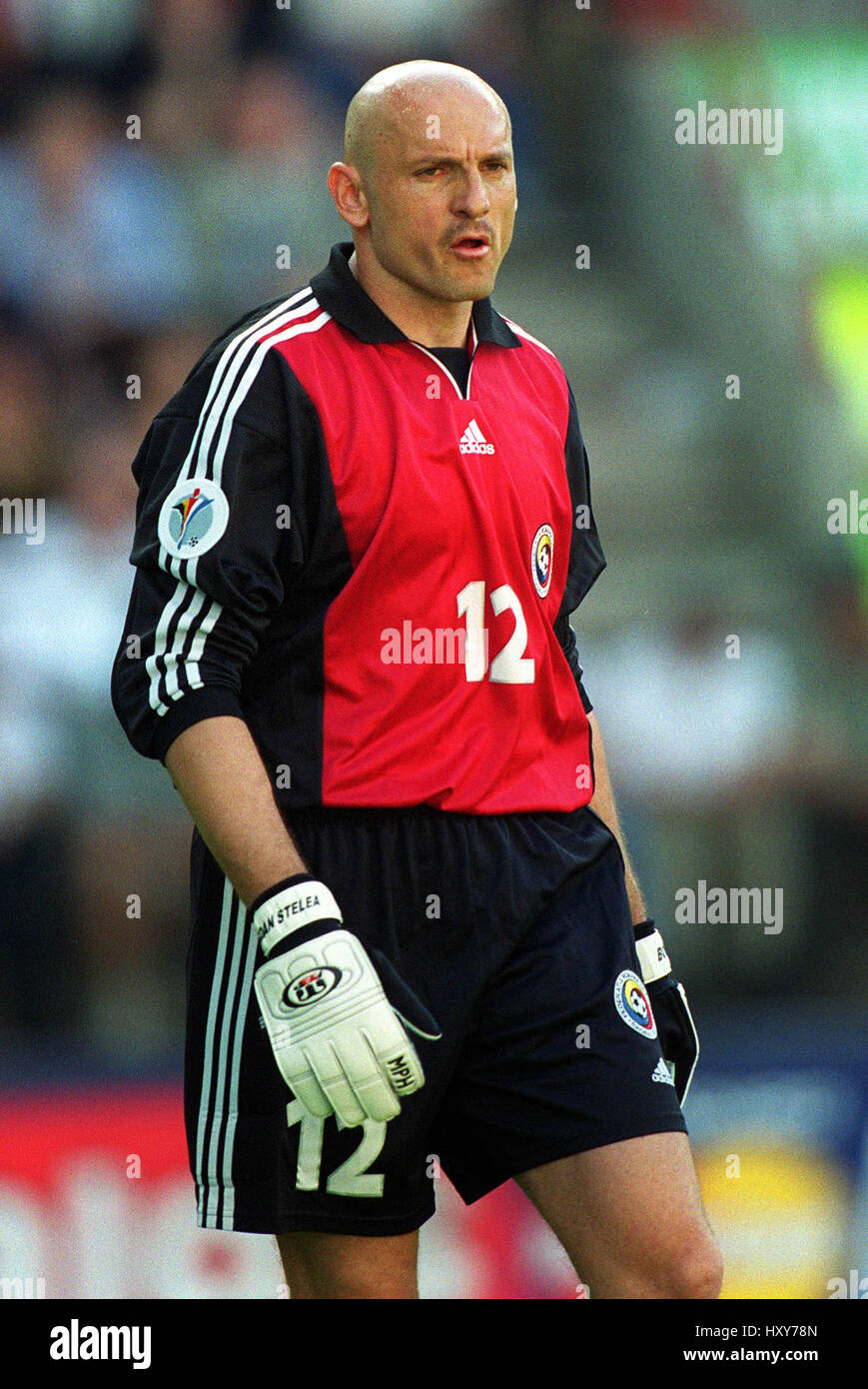 Stelea hi-res stock photography and images - Alamy