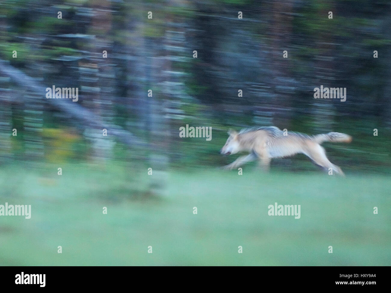 Running routes hi-res stock photography and images - Alamy