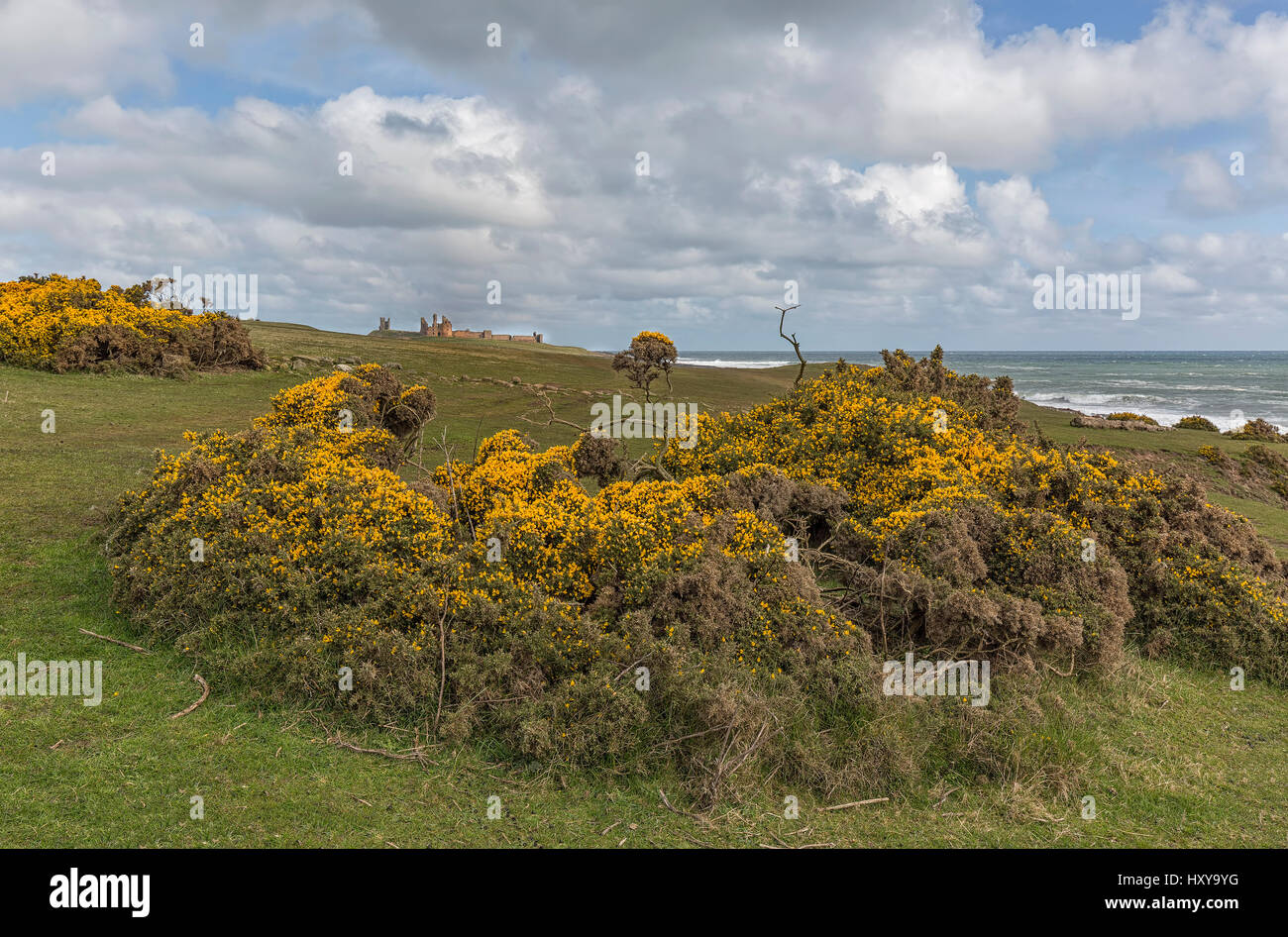 Embleton Bay, Northumberland Stock Photo - Alamy