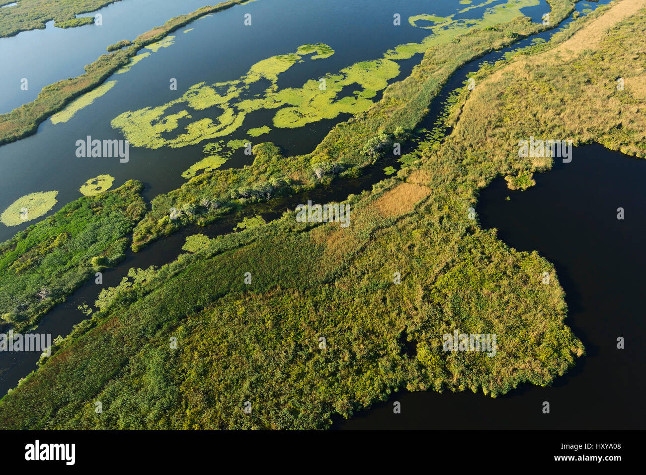 Aerial view over the Danube delta, Danube delta rewilding area, Romania ...