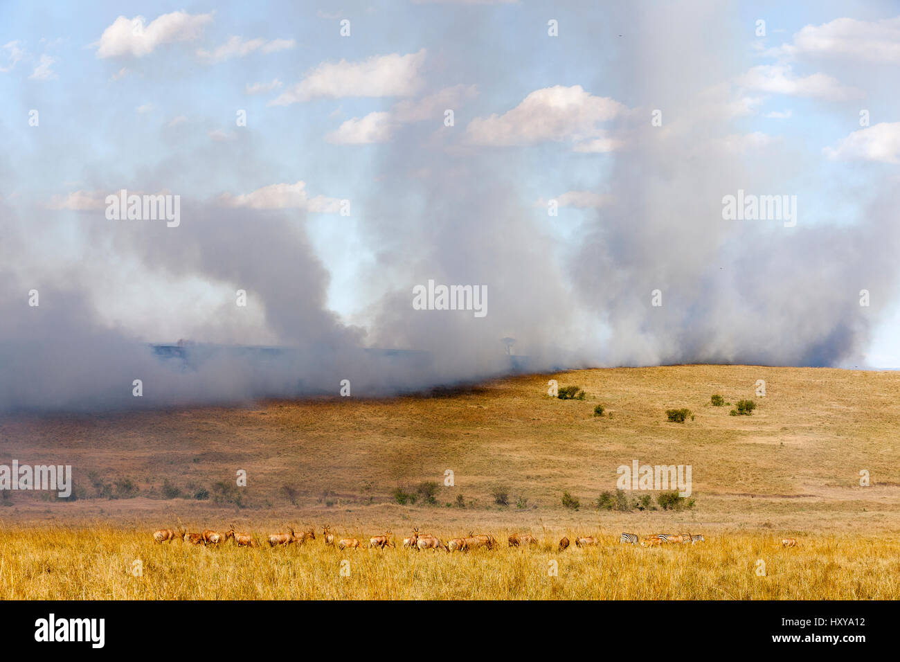 Grassland fires hi-res stock photography and images - Alamy