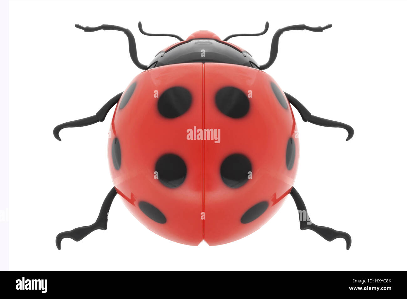 Plastic ladybird on white background Stock Photo - Alamy