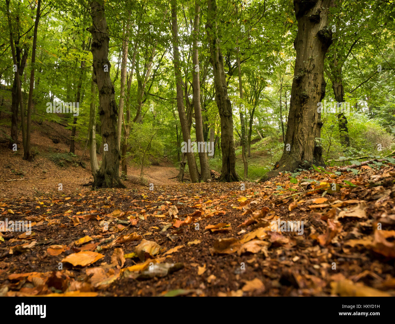 Monreberg hi-res stock photography and images - Alamy