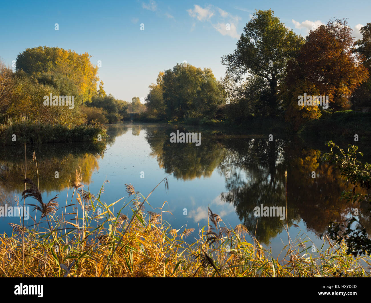 at the boetzelaer lake Kalkar Appeldorn Germany Stock Photo - Alamy