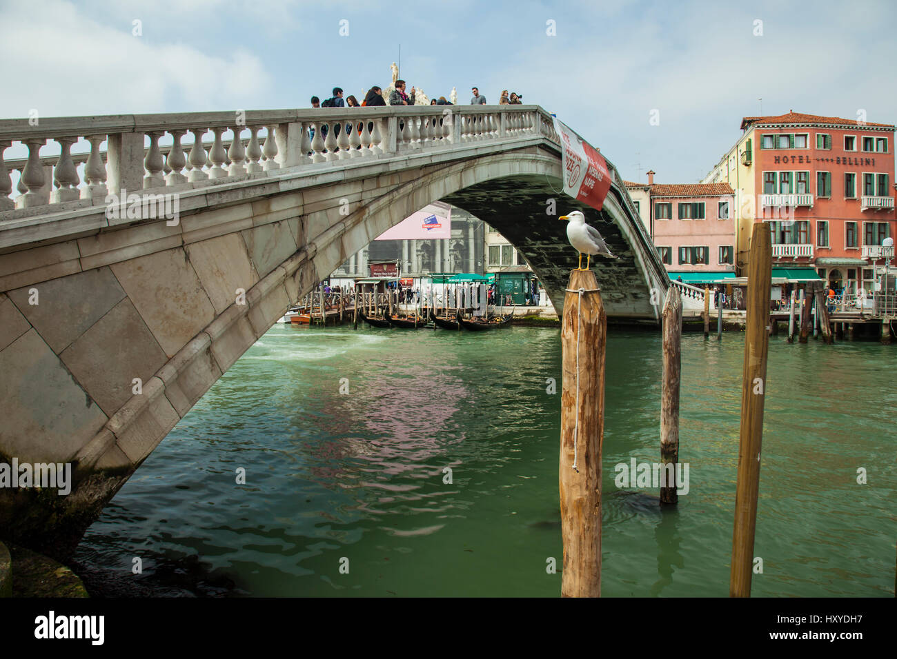 Spring afternoon at Scalzi bridge across Grand Canal in Venice, Italy ...