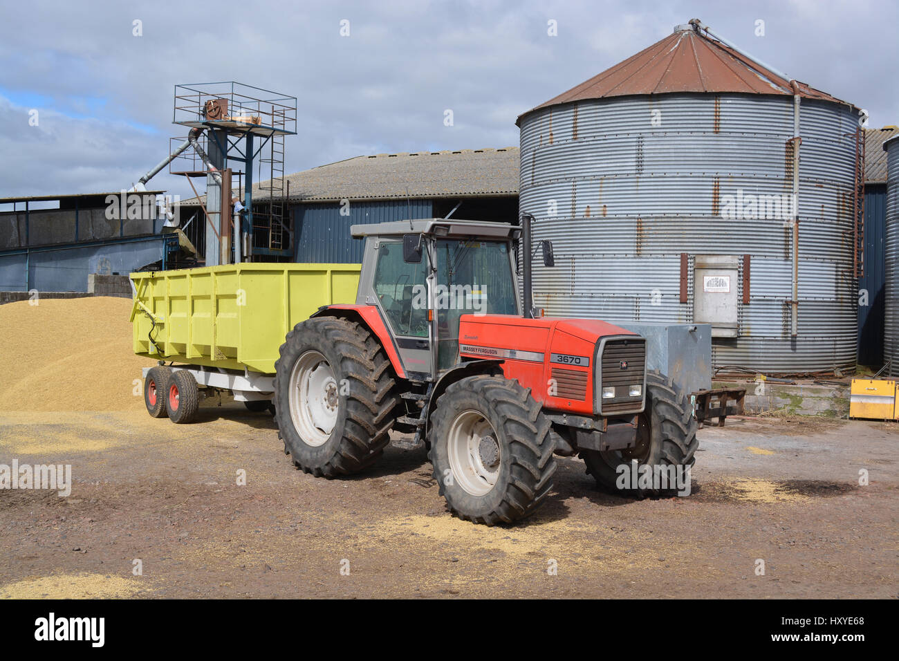 Mf Tractor High Resolution Stock Photography and Images - Alamy