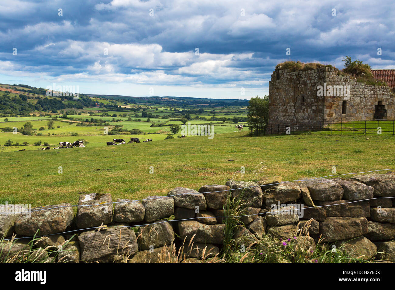 Gate path to the moors hi-res stock photography and images - Alamy