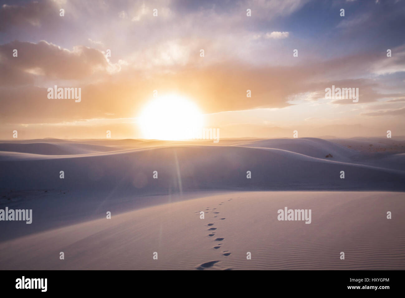 Walking into sunset Stock Photo - Alamy