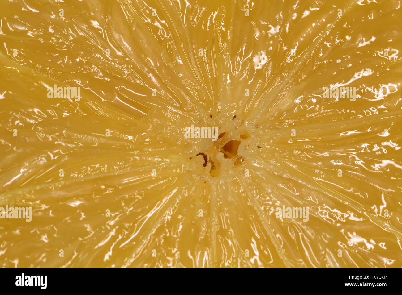 Cross section of lemon close up. Macro photography, small depth of ...