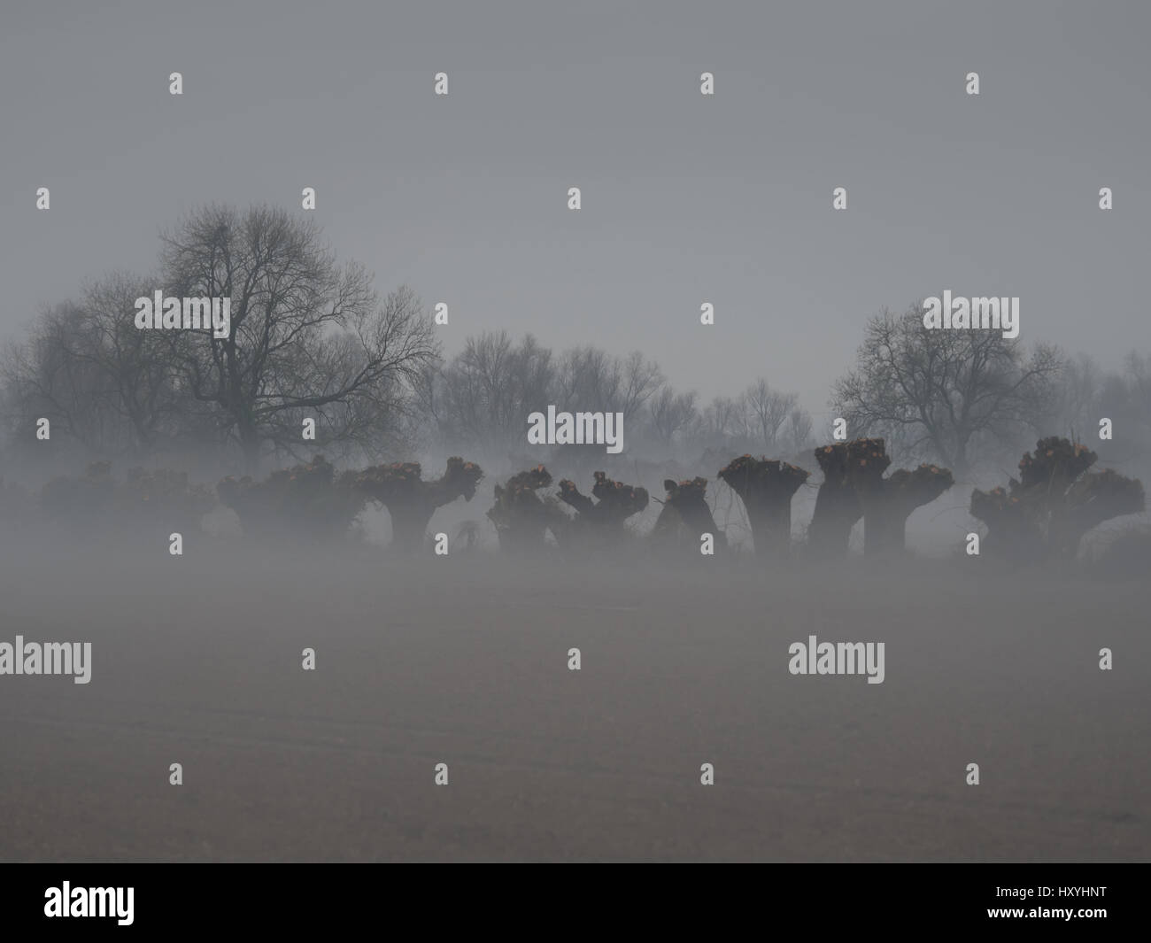 Fog foggy landscape hi-res stock photography and images - Alamy
