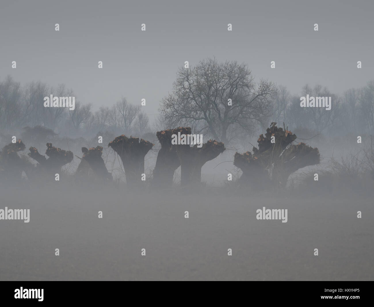 Fog foggy landscape hi-res stock photography and images - Alamy