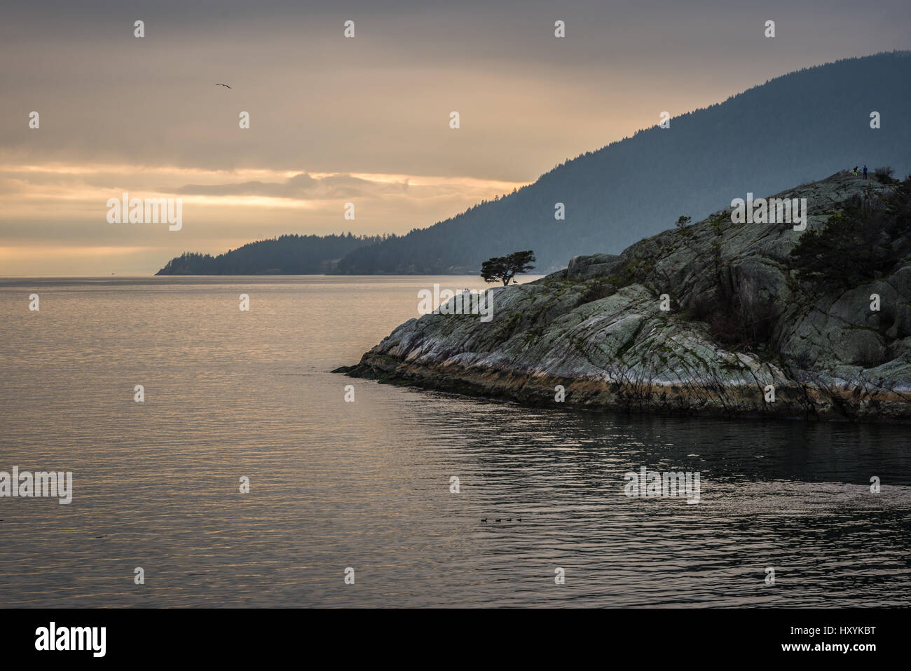 Whytecliff Park in West Vancouver, beautiful spot for a day trip around ...