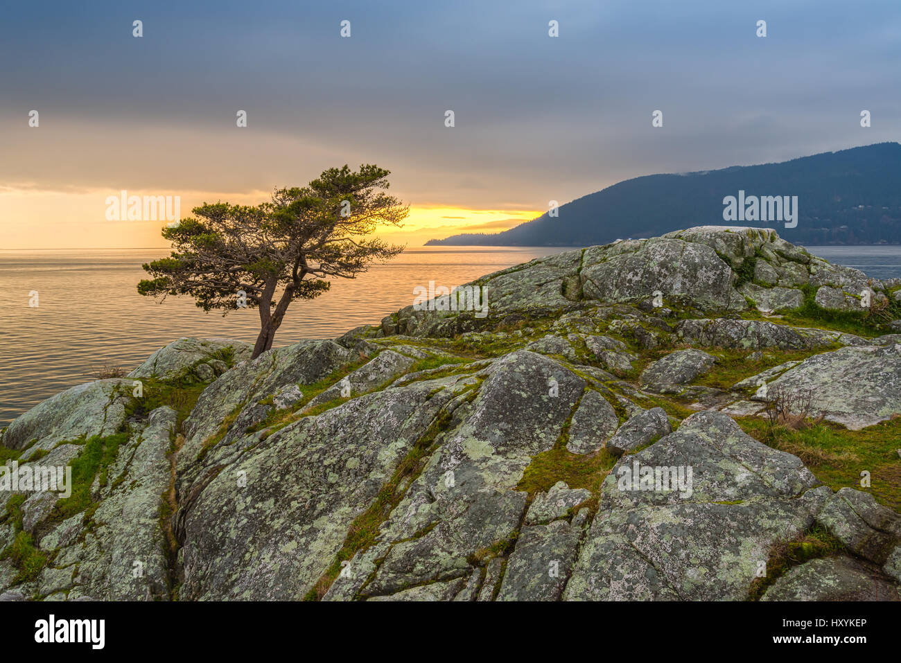 Whytecliff Park in West Vancouver, beautiful spot for a day trip around ...