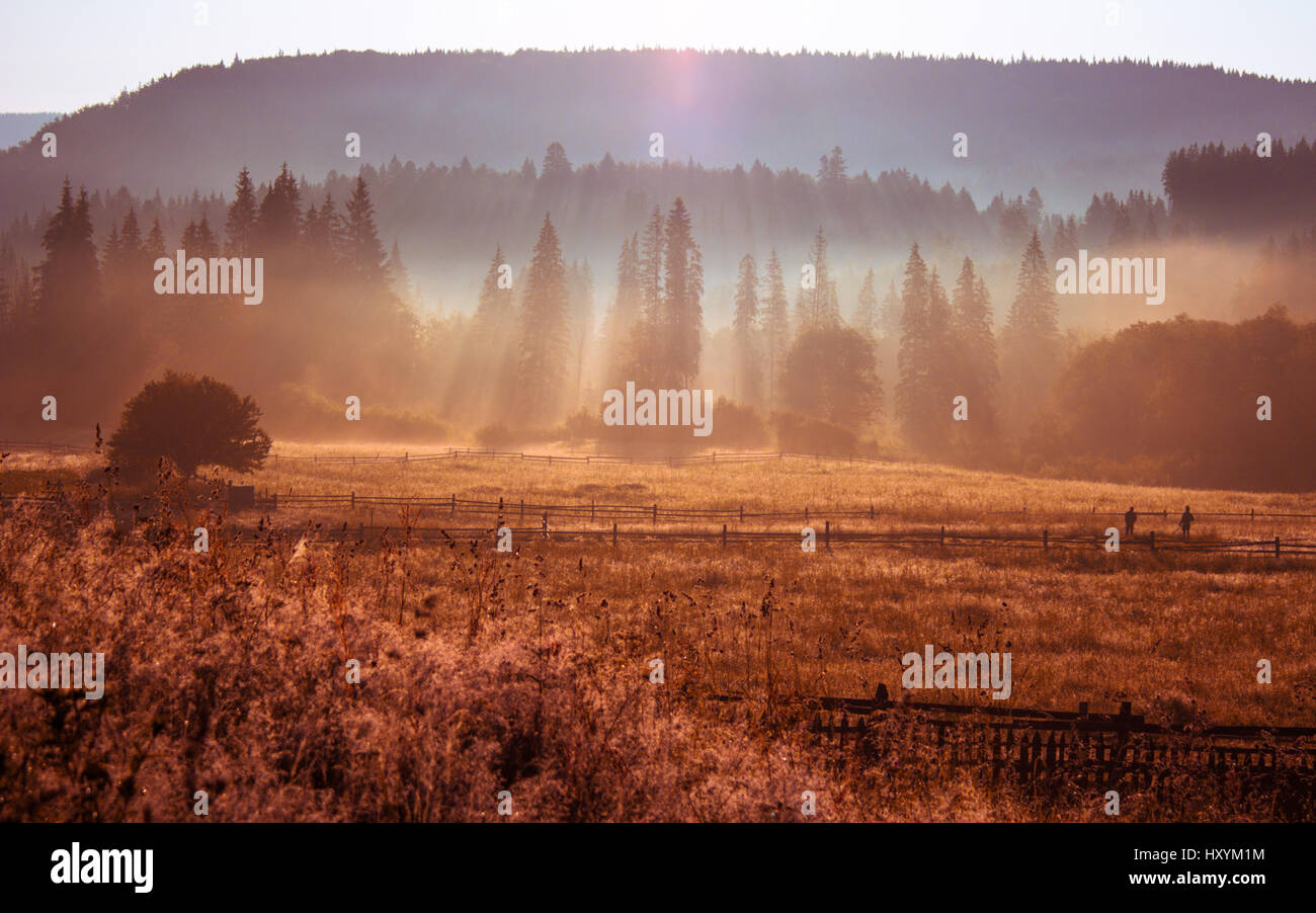 Early morning sun rays illuminate the dawn beautiful Carpathian ...