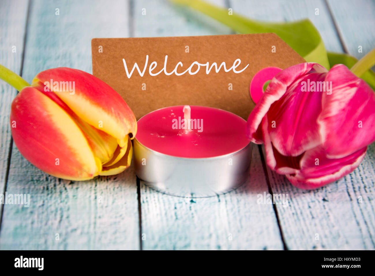 Welcome sign with tulips Stock Photo - Alamy