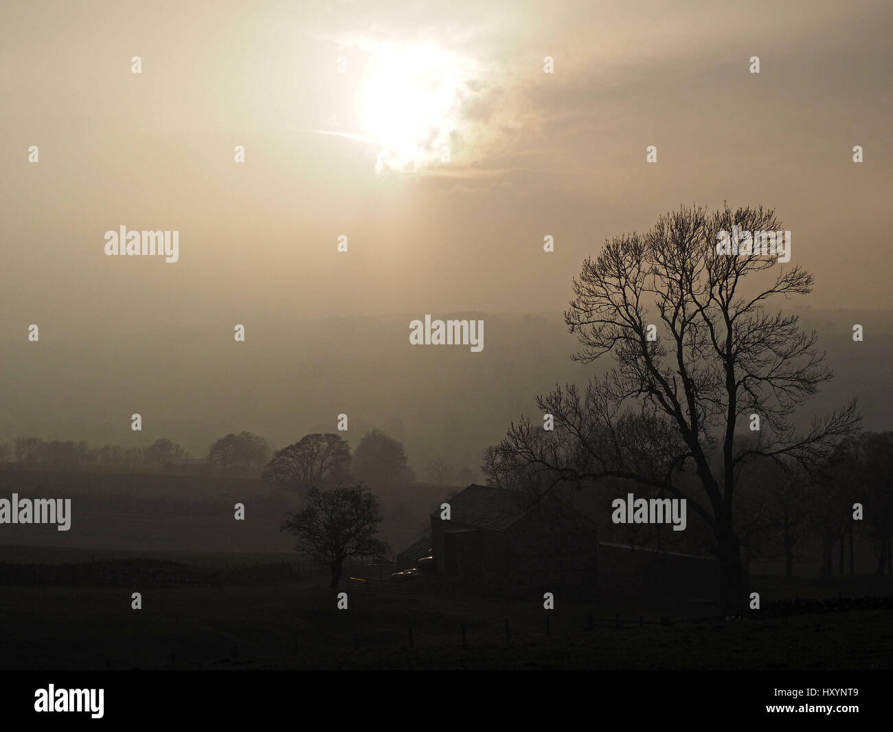 evening sunshine breaking through mist illuminates barn trees and ...