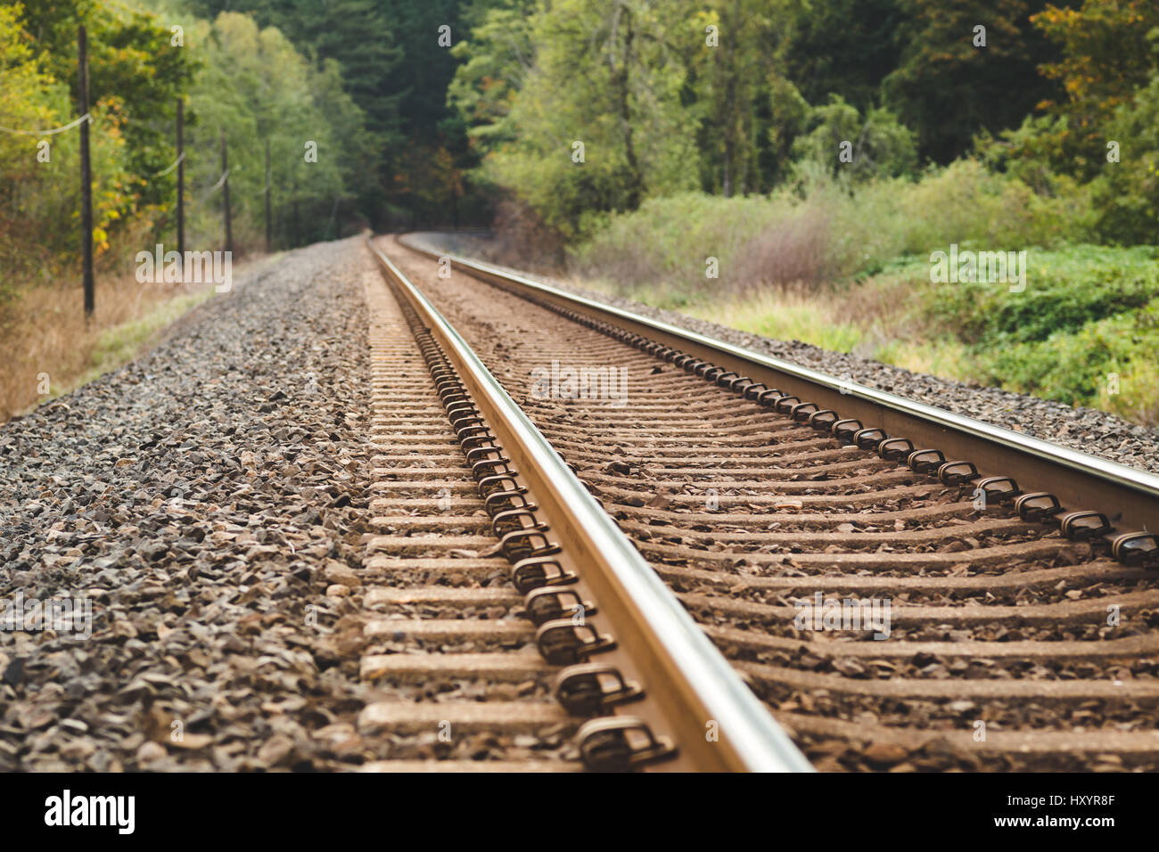 Railroad train tracks in the lush forest of the Columbia River Gorge in ...