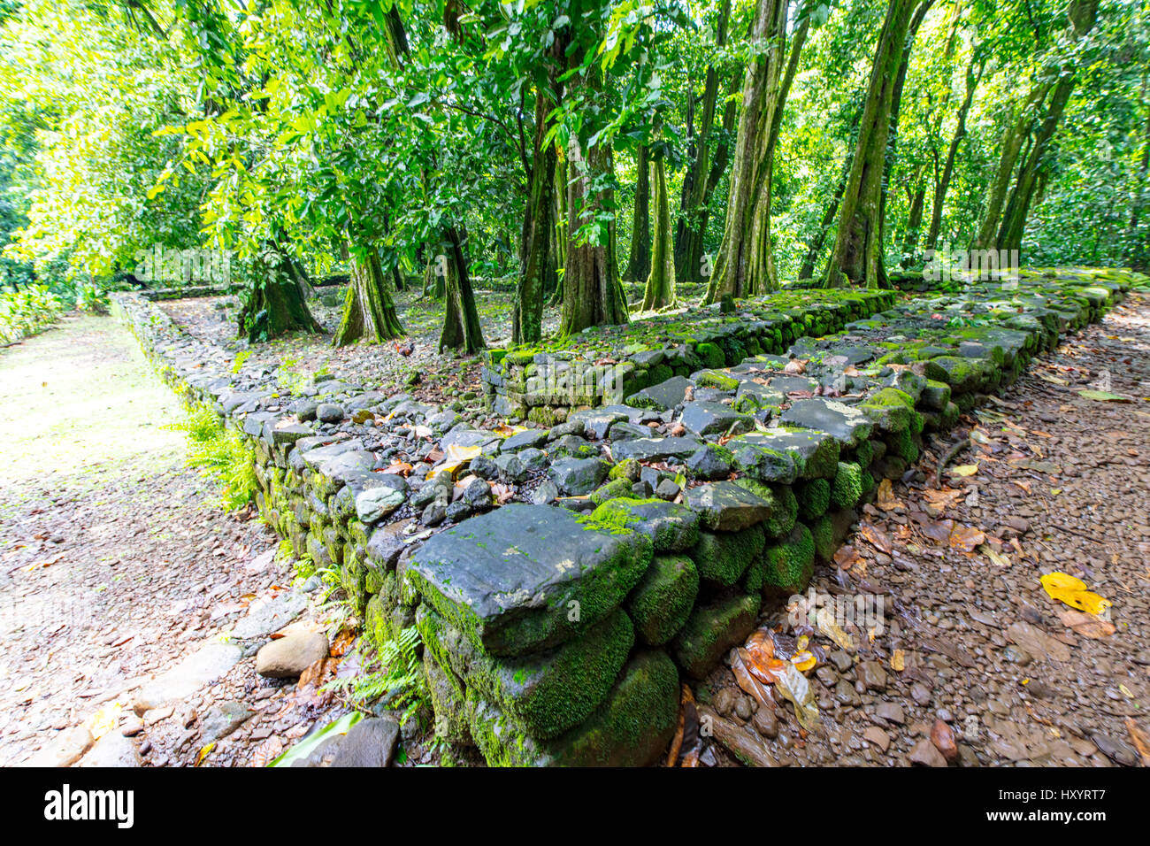 Marae polynesia hi-res stock photography and images - Alamy