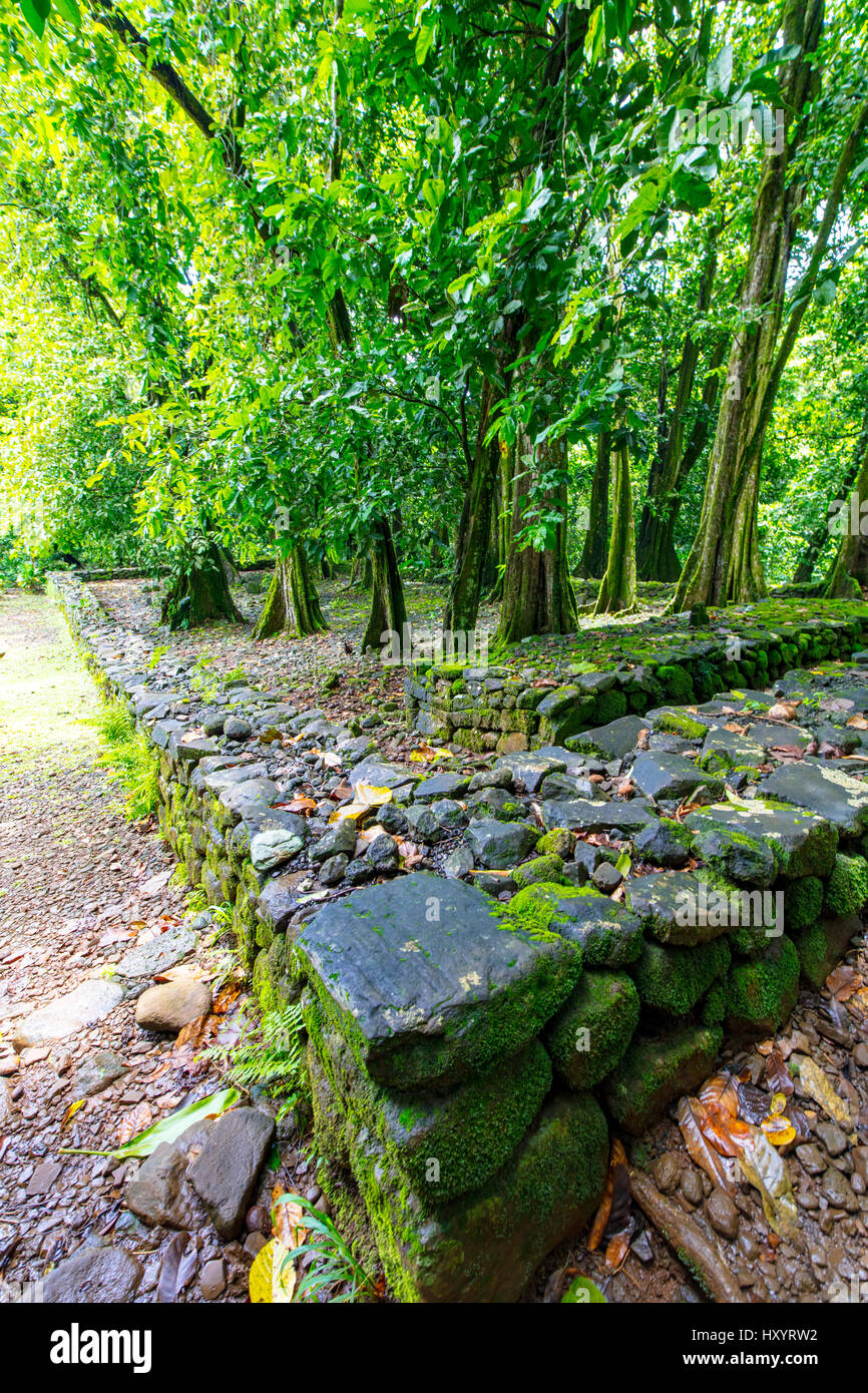 Marae, Temple, Belvredere, Moorea, French Polynesia Stock Photo - Alamy