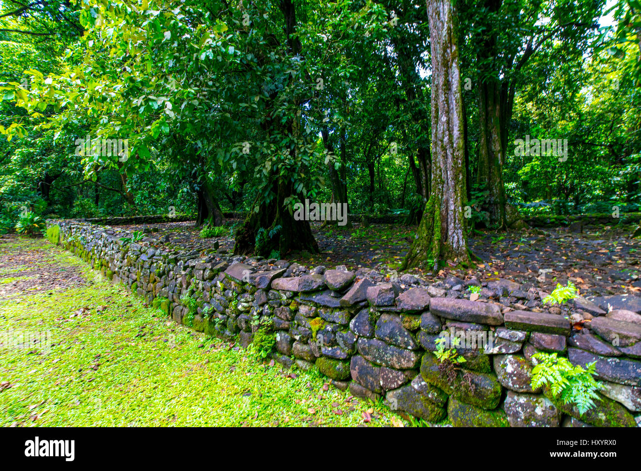 Marae polynesia hi-res stock photography and images - Alamy