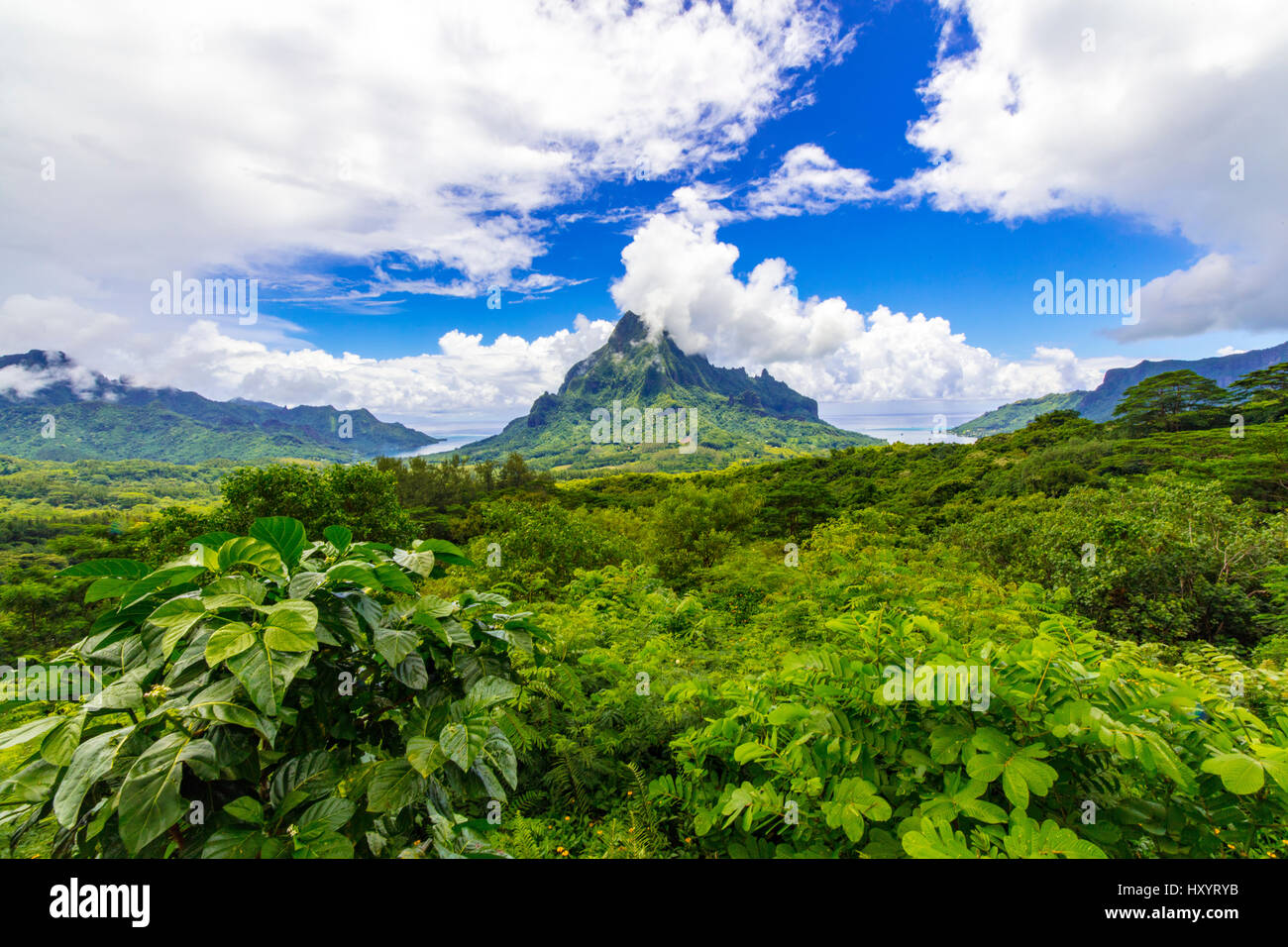 Belvedere lookout, moorea hi-res stock photography and images - Alamy