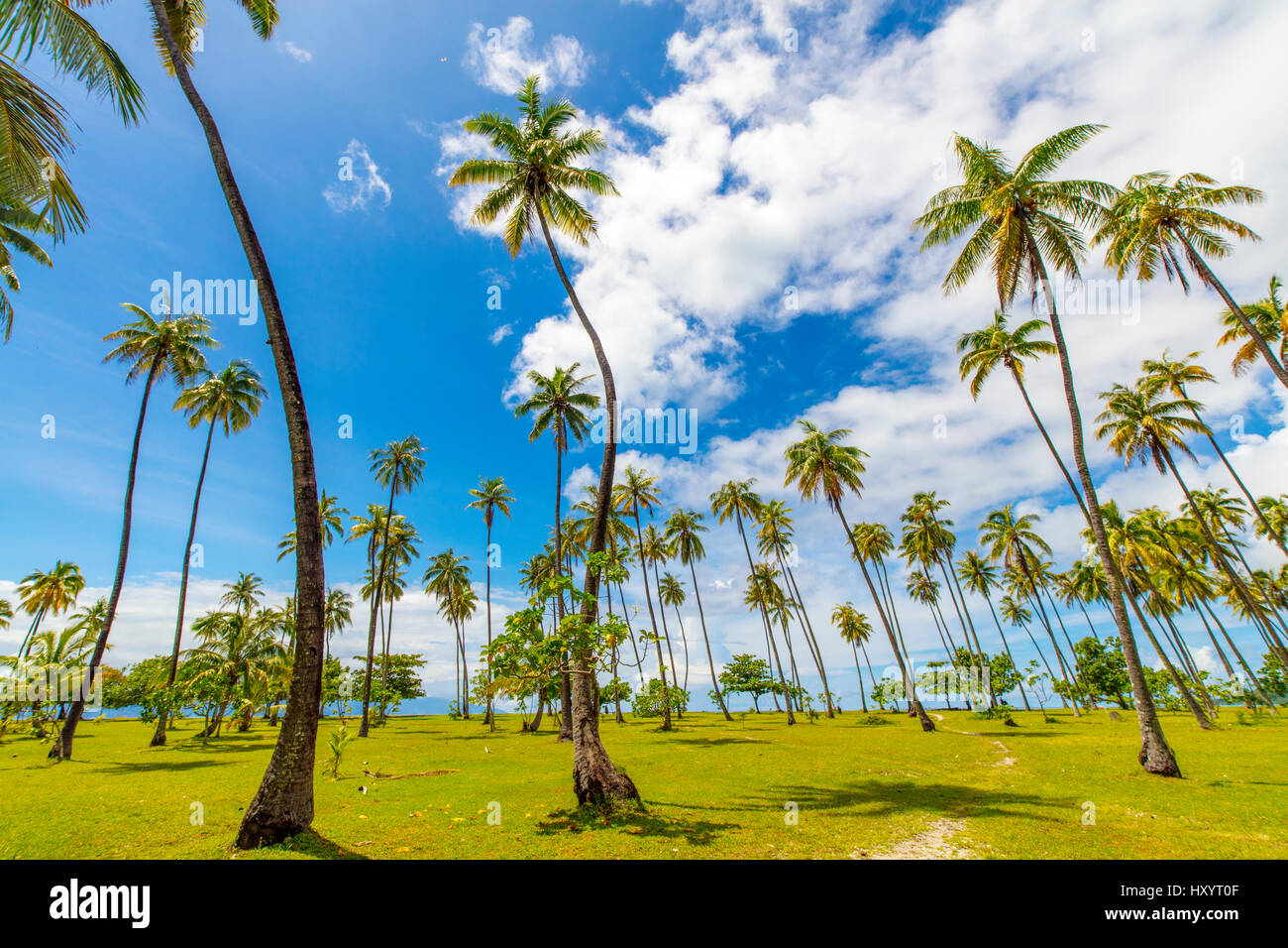 Temae moorea hi-res stock photography and images - Alamy