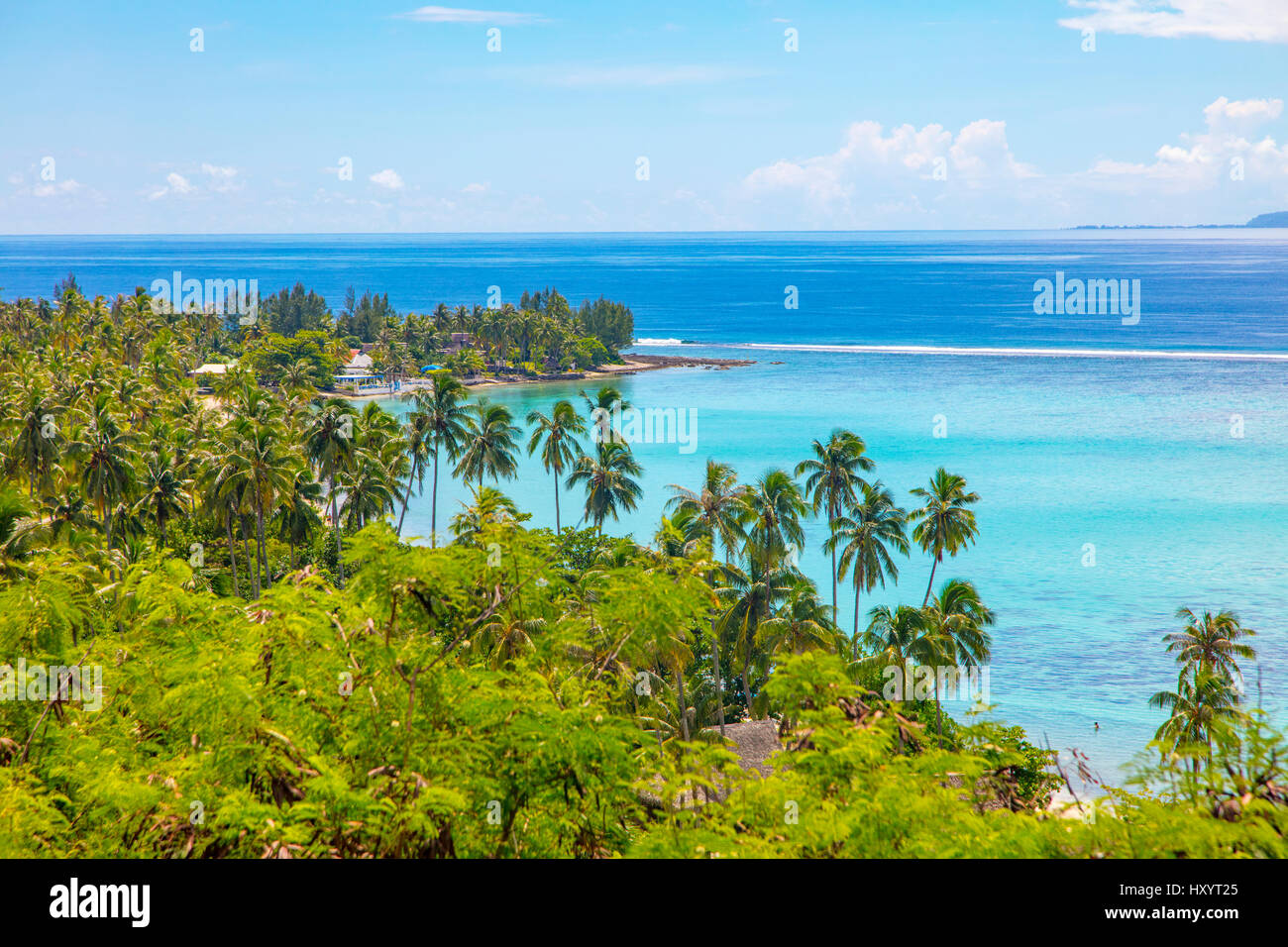 Coconut Grove, Temae, Moorea, French Polynesia Stock Photo - Alamy