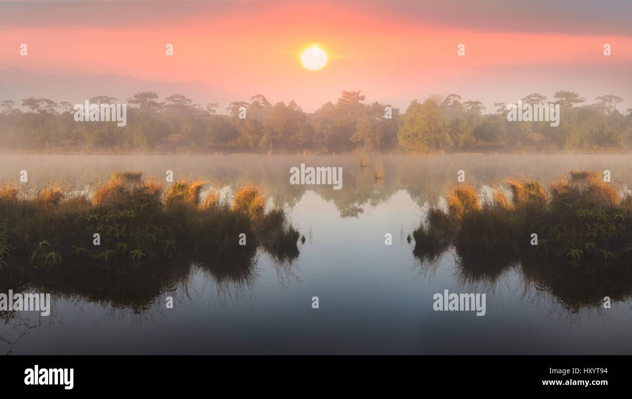 Big sun morning on the lake and sky gold Stock Photo - Alamy