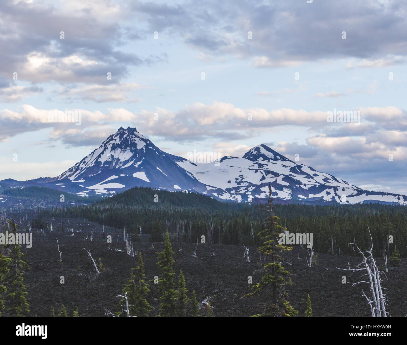 Big Sky Landscaping Oregon