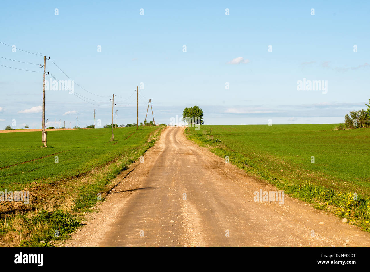 empty road in the countryside with trees and meadows in surrounding ...