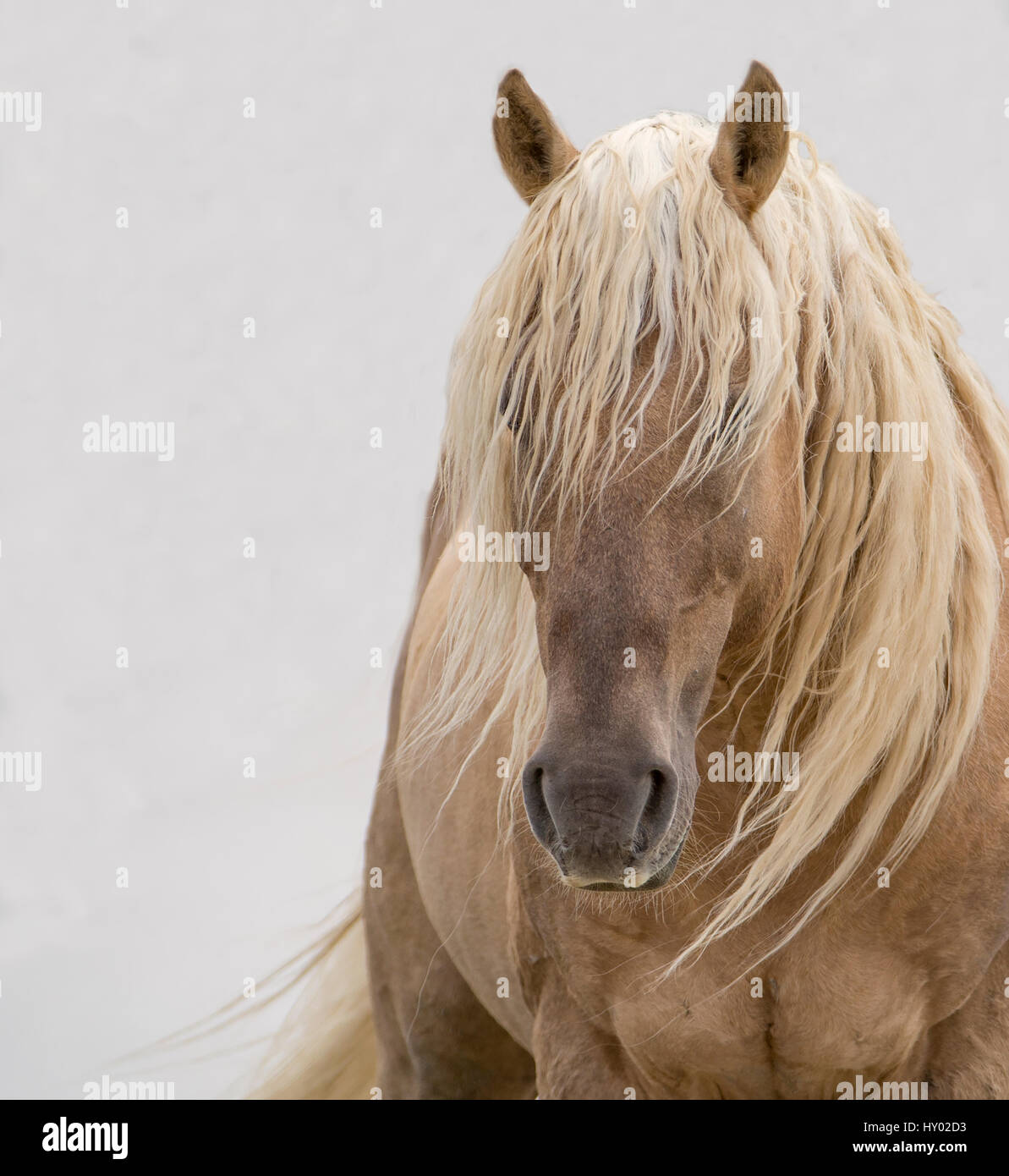 Dunalino hi-res stock photography and images - Alamy