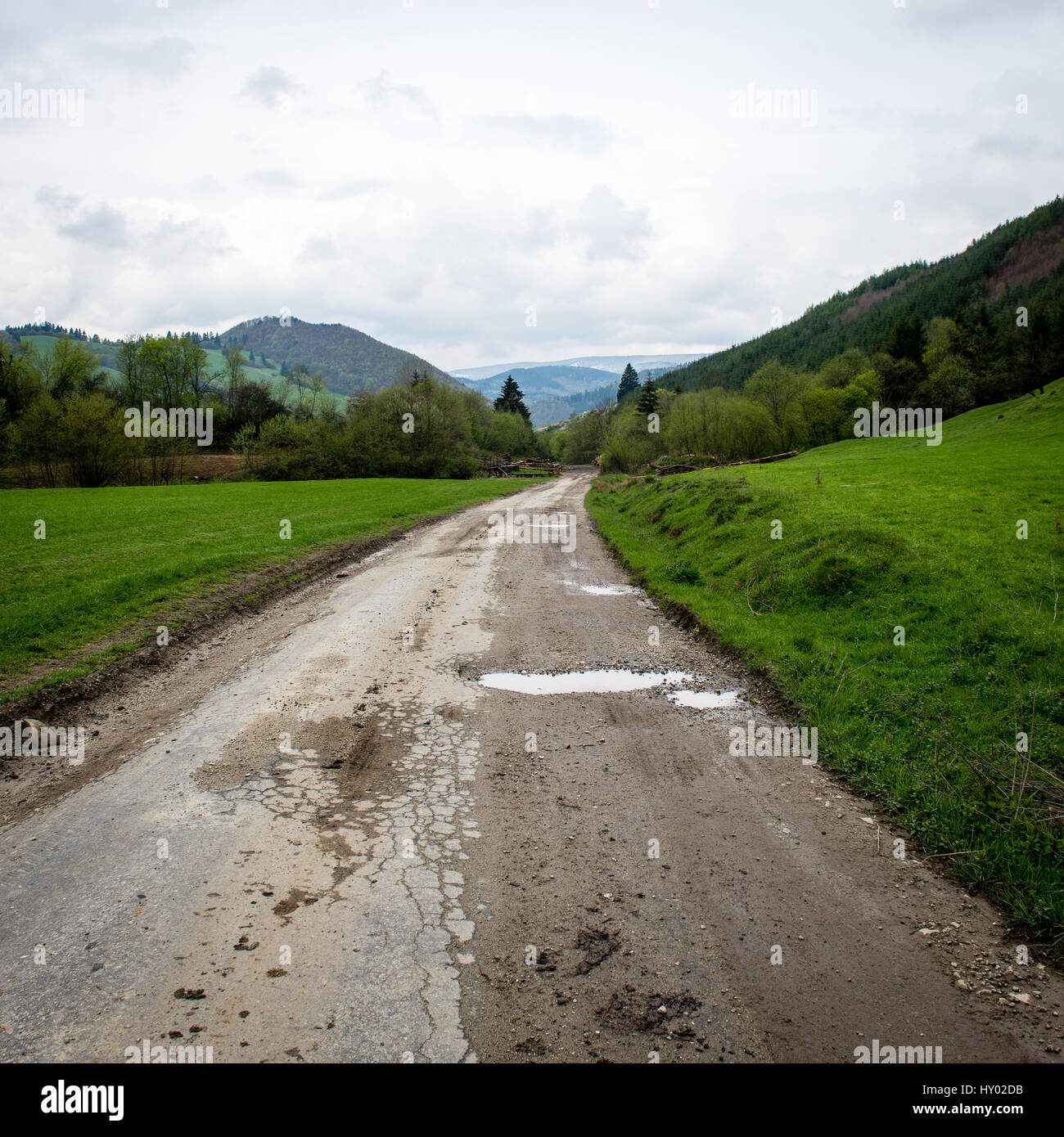 simple country road in summer at countryside with trees around Stock ...