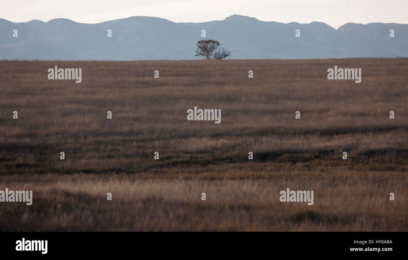 Badlands Canada Saskatchewan Big Muddy Panoramic Image Stock Photo - Alamy