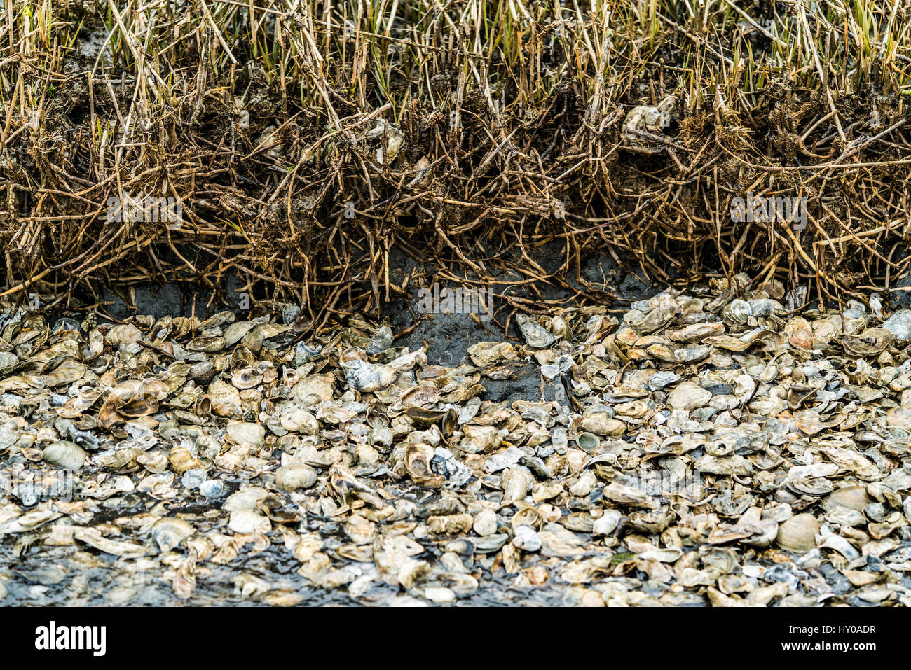 Crunchy outside hi-res stock photography and images - Alamy