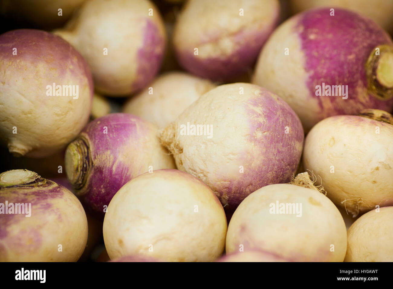 Turnip vegetables, on display in store Stock Photo - Alamy