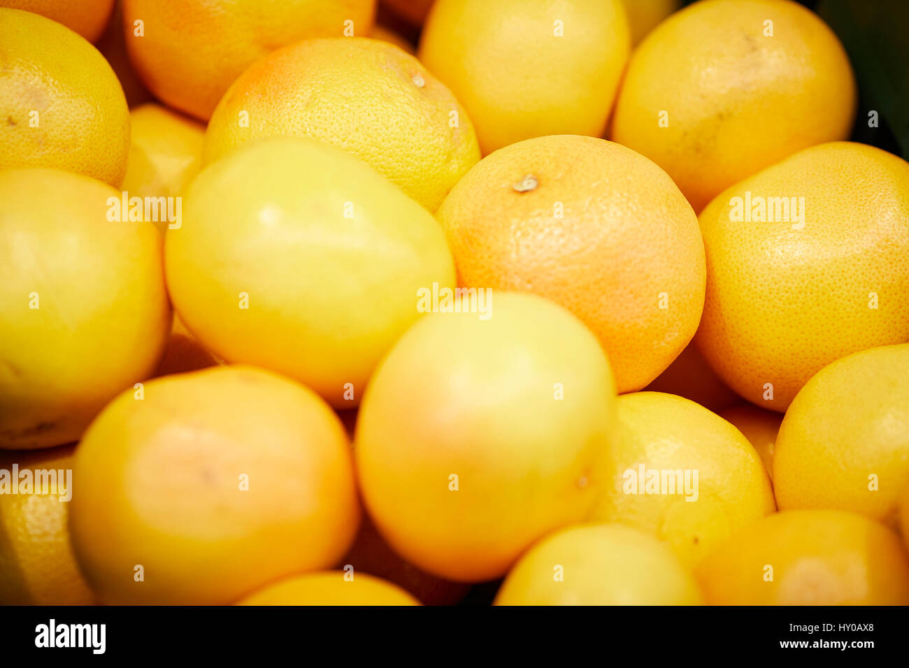 Grapefruit on display in store Stock Photo - Alamy