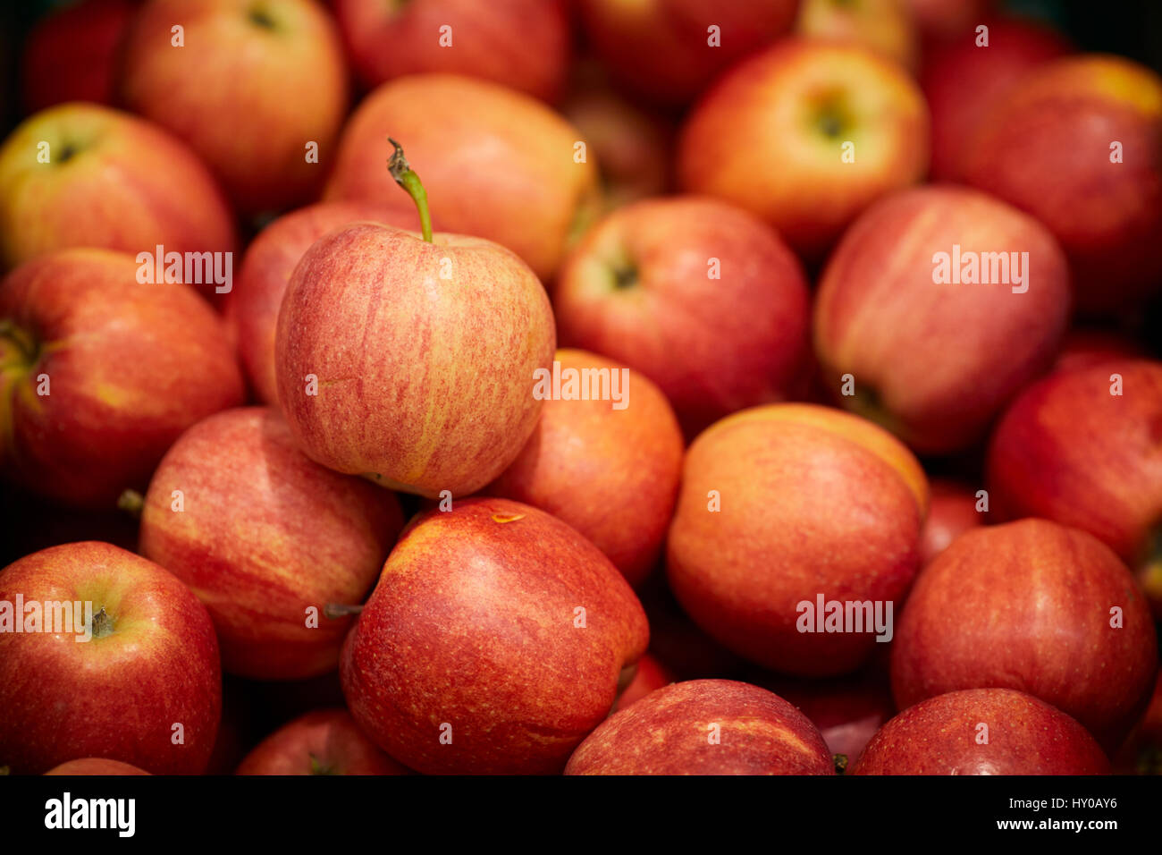 Red Apples on display in store Stock Photo - Alamy