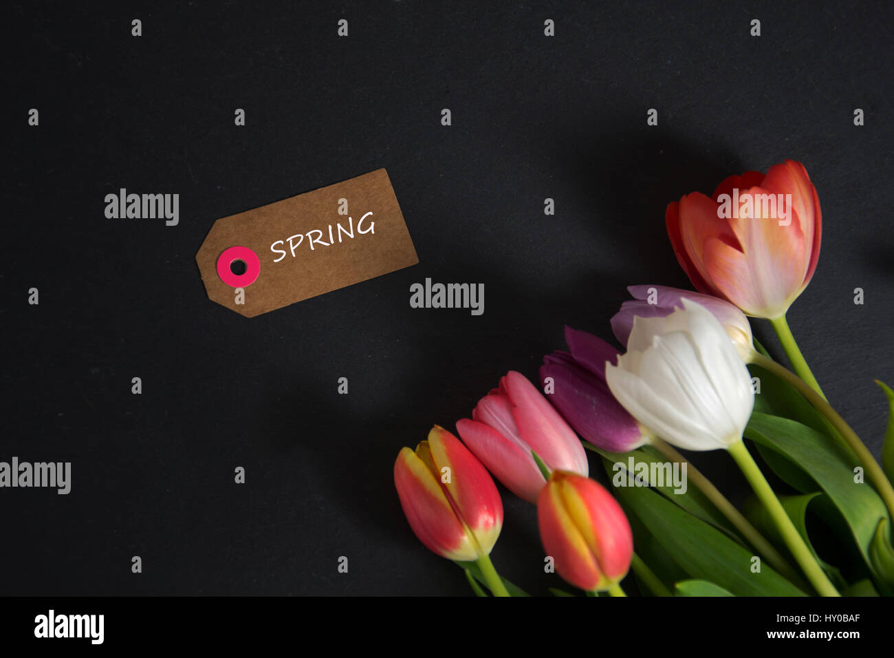 Spring background with tulips Stock Photo - Alamy