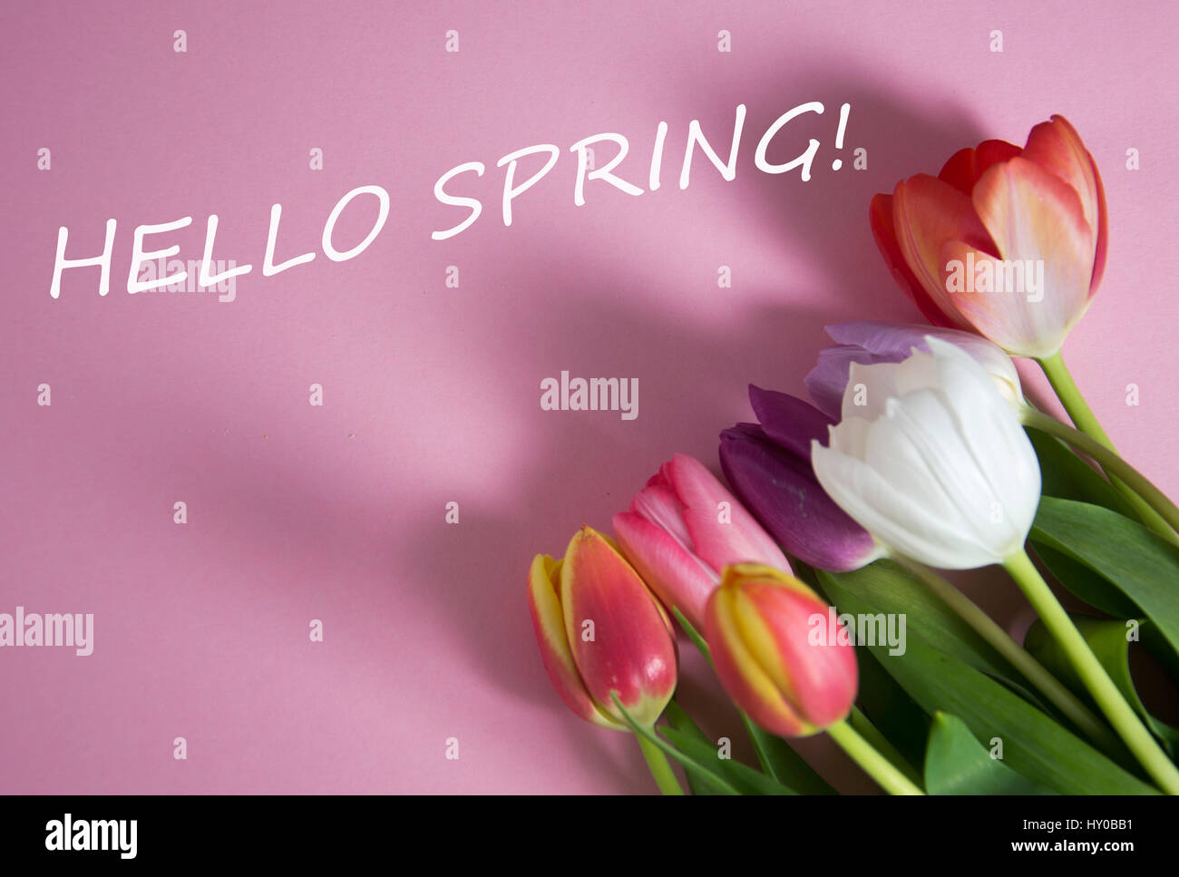 Spring background with tulips Stock Photo - Alamy
