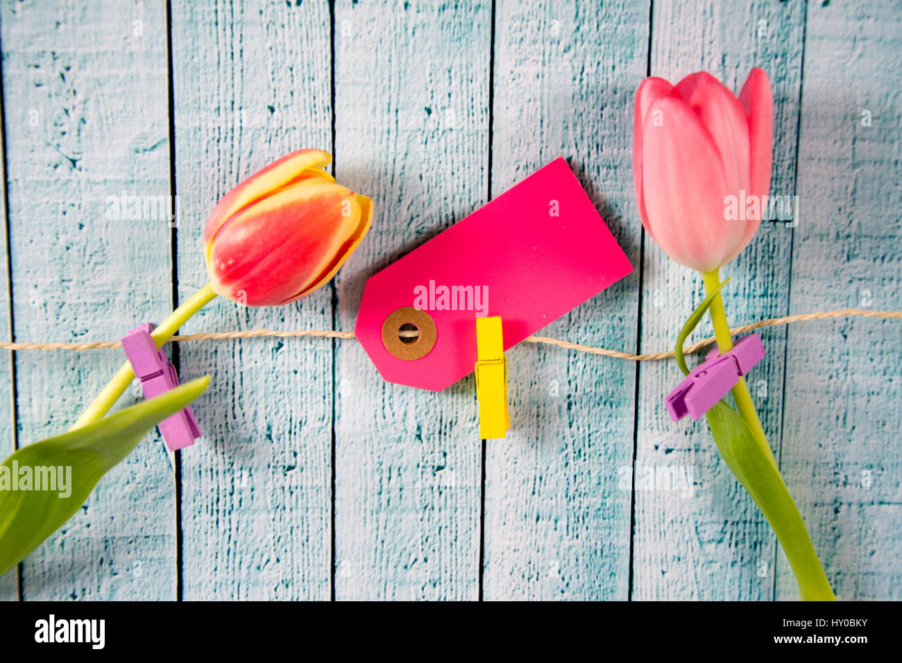 Spring background with tulips Stock Photo - Alamy