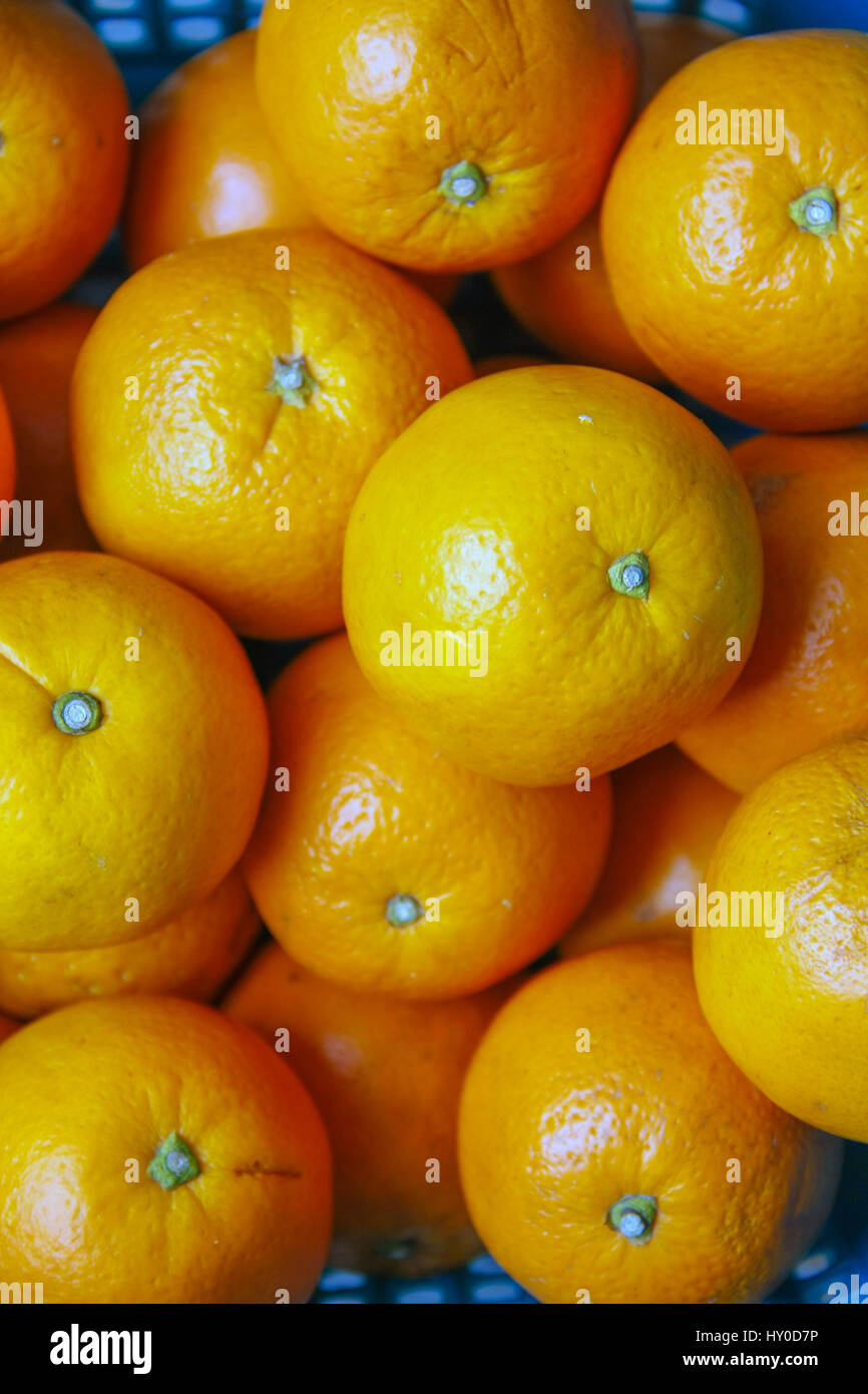 beautiful and freah of many oranges was yummy Stock Photo - Alamy