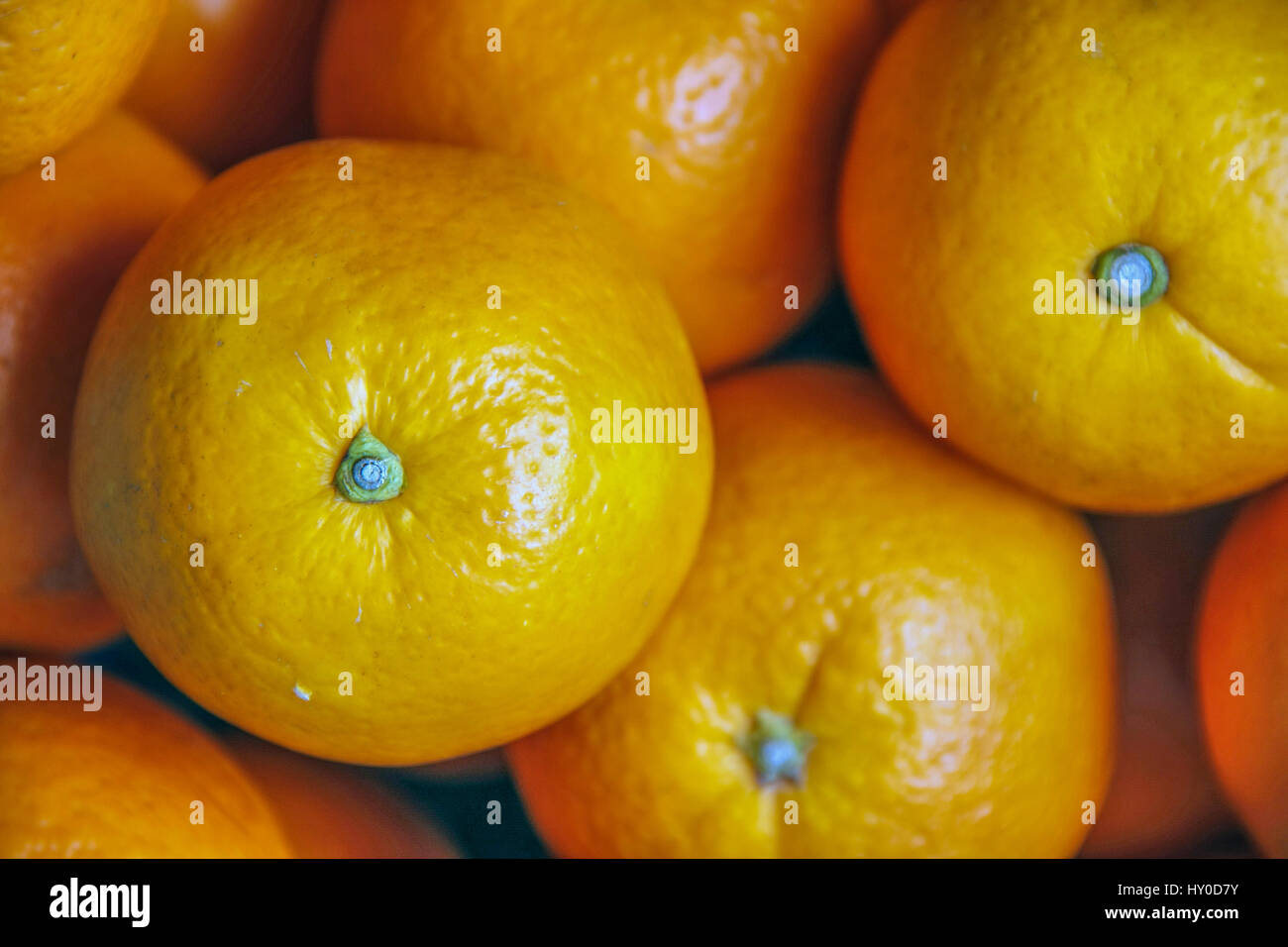 beautiful and freah of many oranges was yummy Stock Photo - Alamy