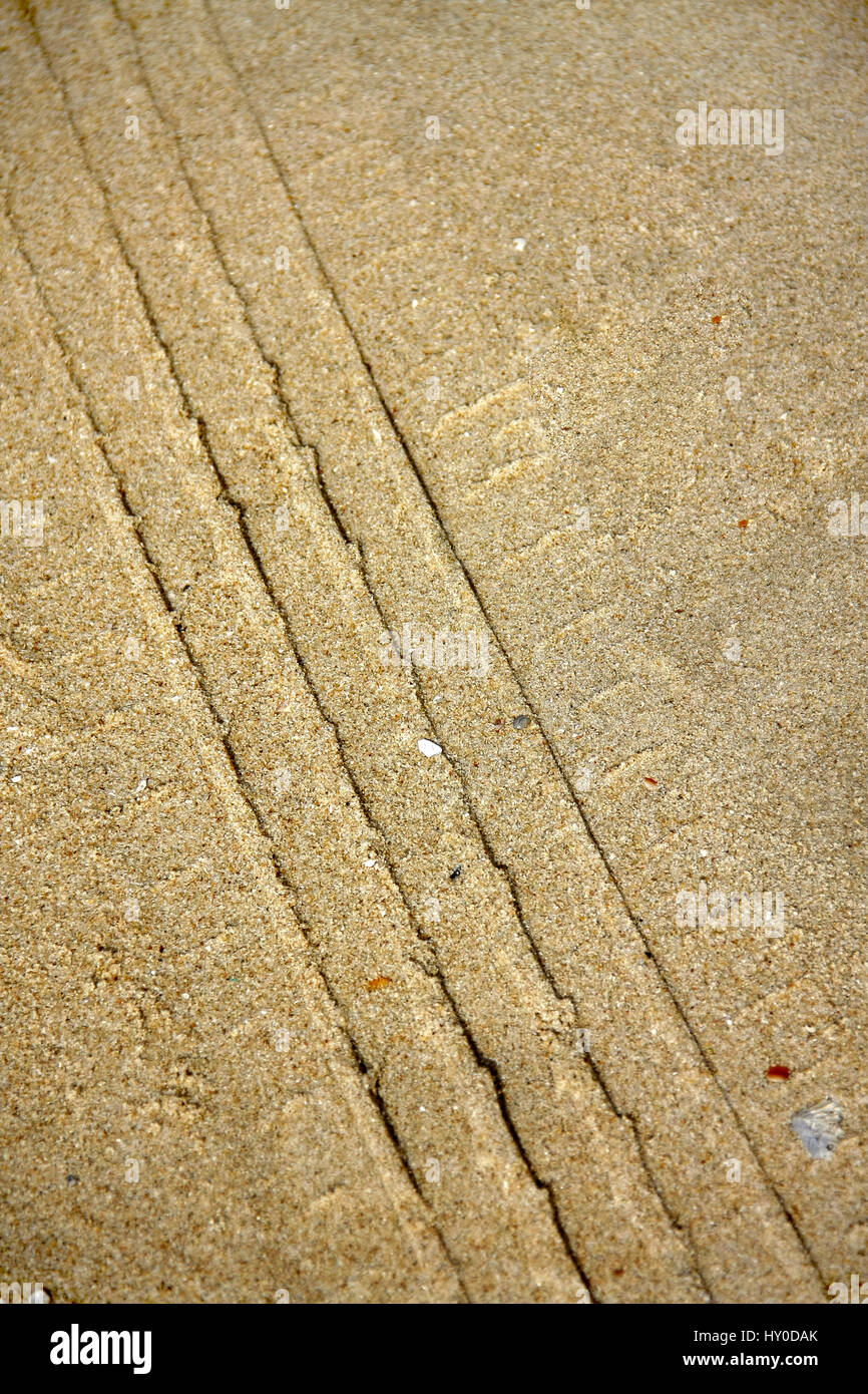 texture of tire tracks on dry sand Stock Photo - Alamy