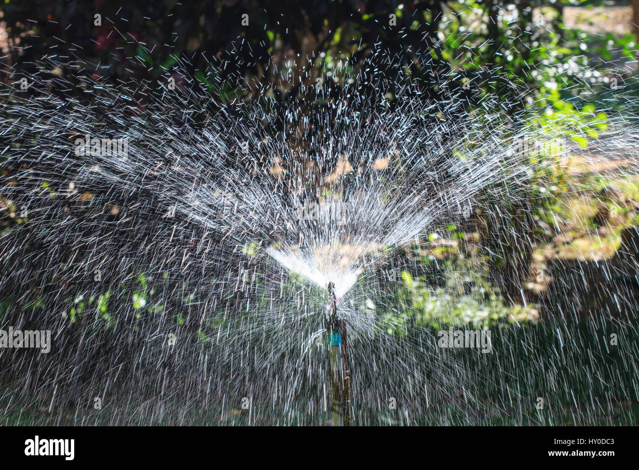 abstract irrigation of agricultural field, water sprinkler Stock Photo ...