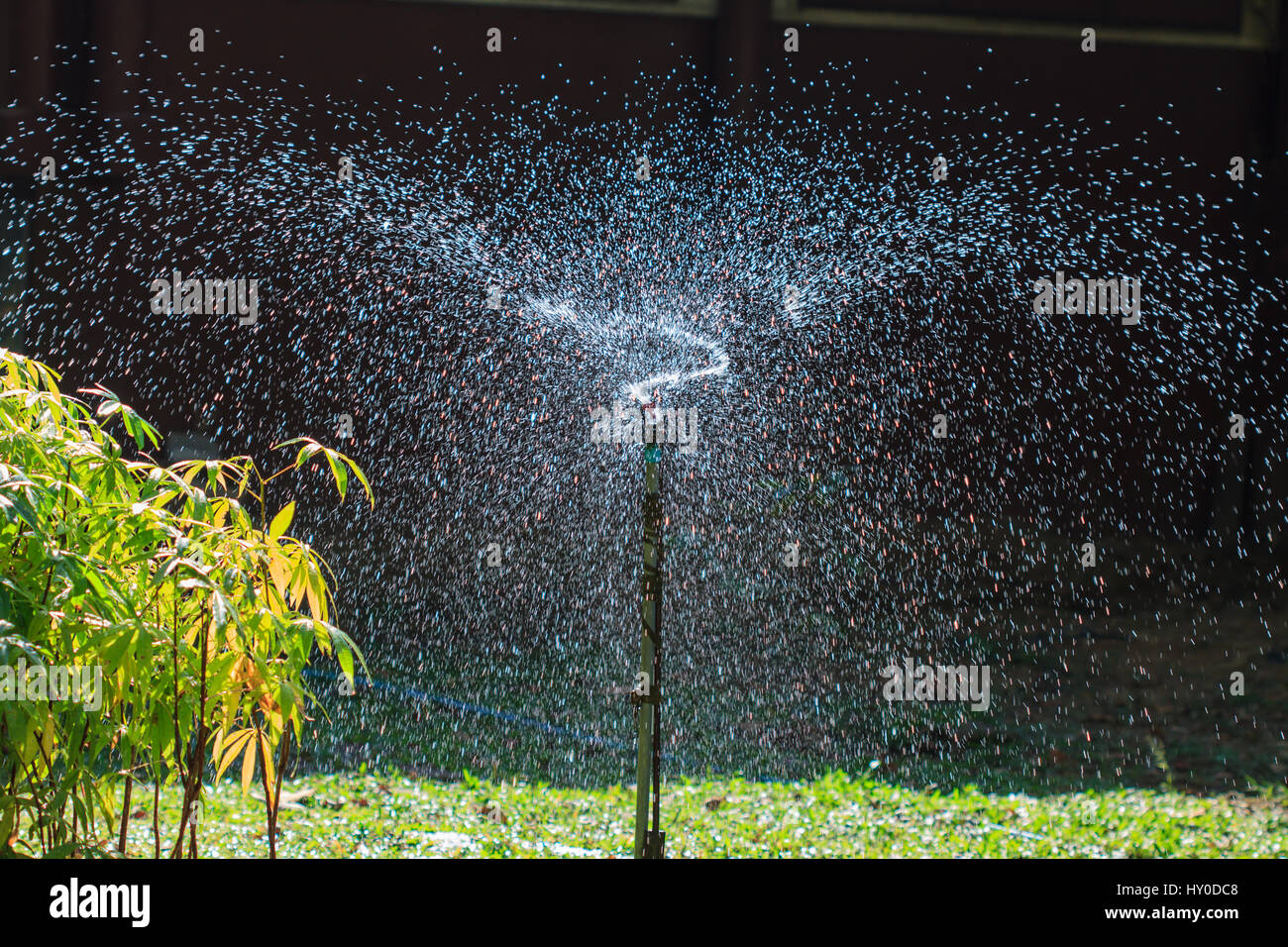 abstract irrigation of agricultural field, water sprinkler Stock Photo ...