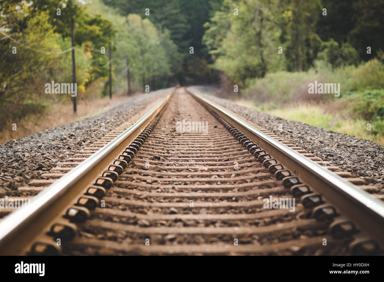 Railroad train tracks in the lush forest of the Columbia River Gorge in ...
