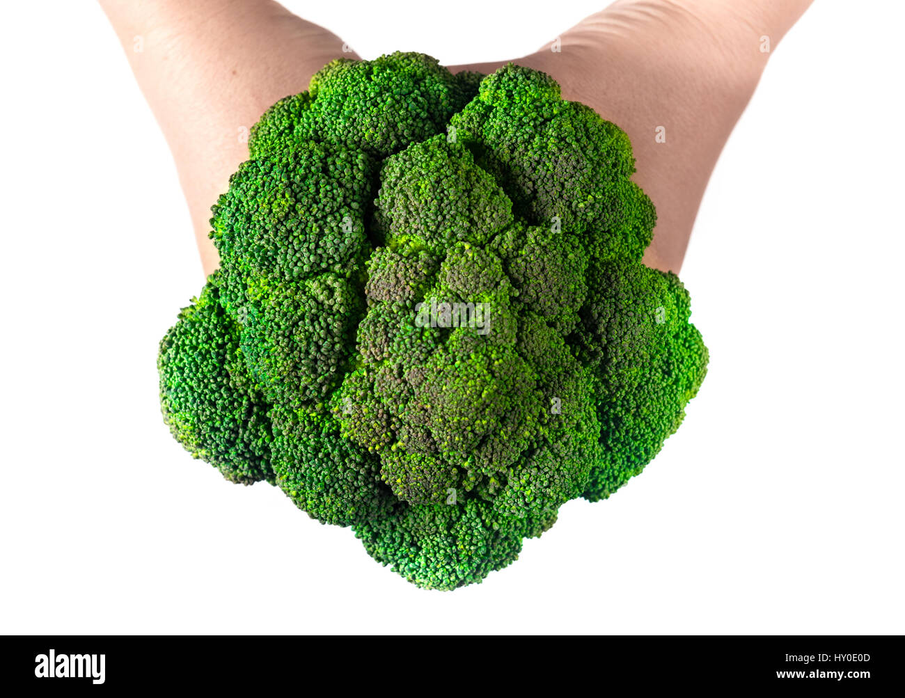 Broccoli in hand on white background Stock Photo - Alamy